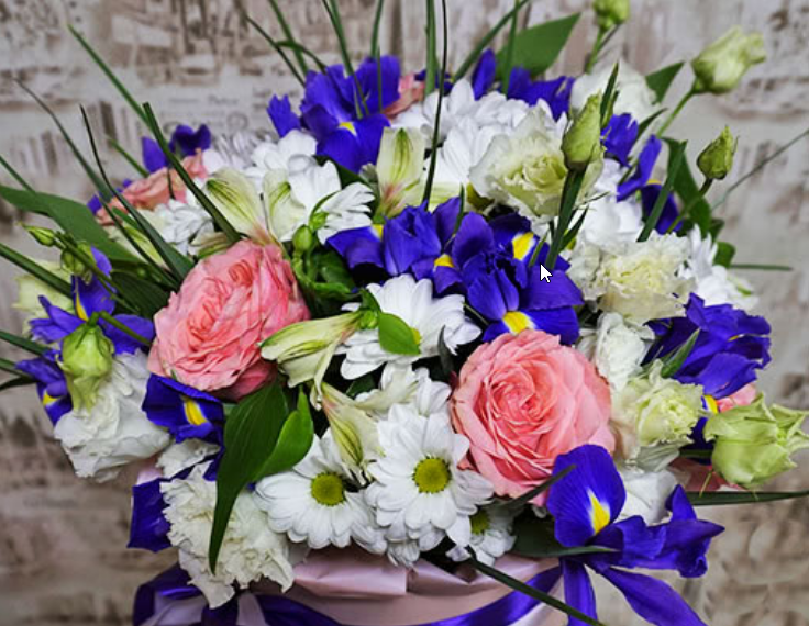 FELICITĂRI DOMNULUI DORIN GUZGAN – media.usarb